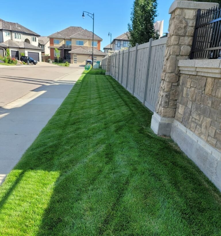 Spring Cleanup Services Secrets Homeowners Swear By! Seasons 360